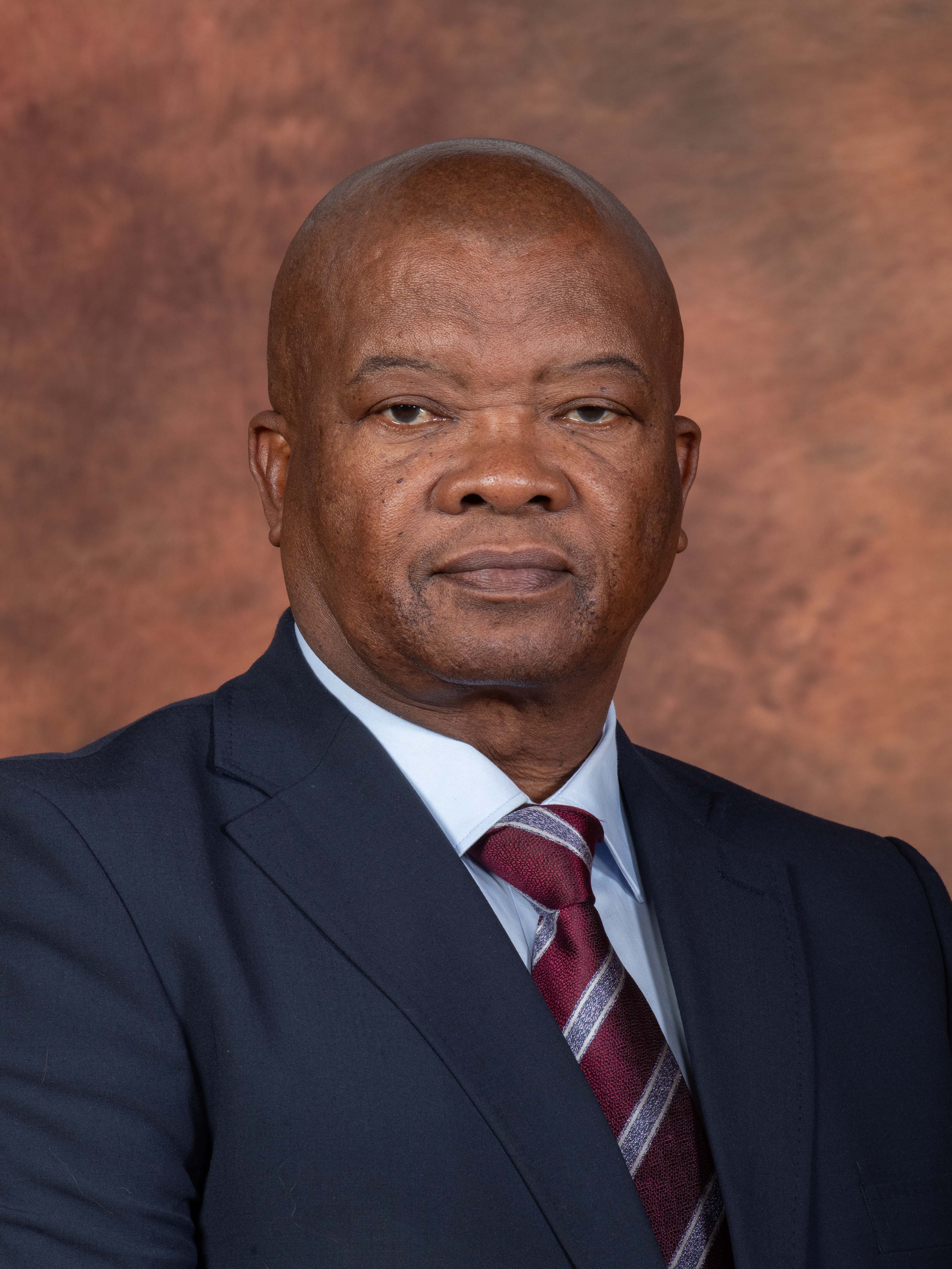 Bantubonke "Bantu" Harrington Holomisa, Mr | South African Government
