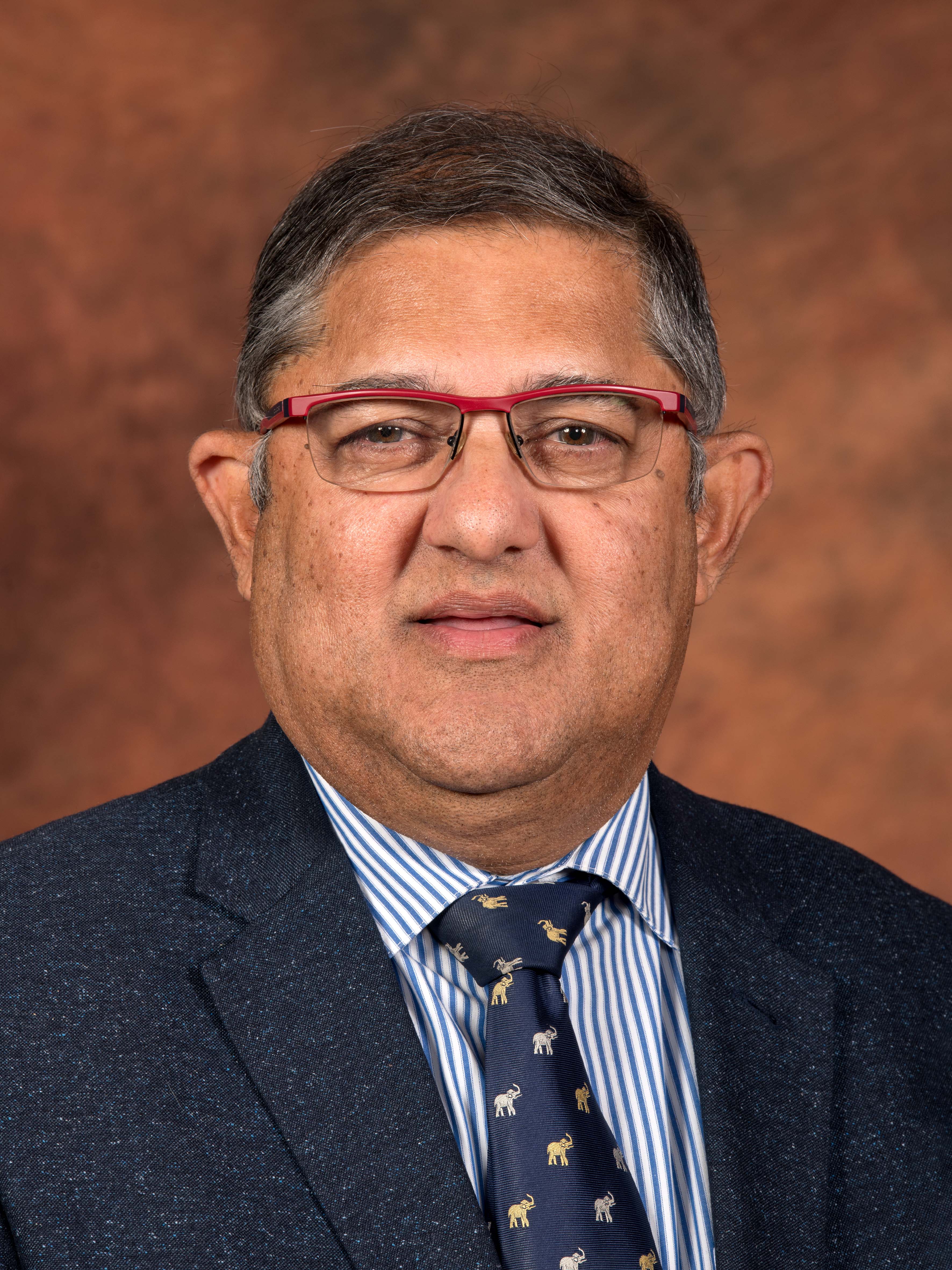 Narend Singh, Mr | South African Government
